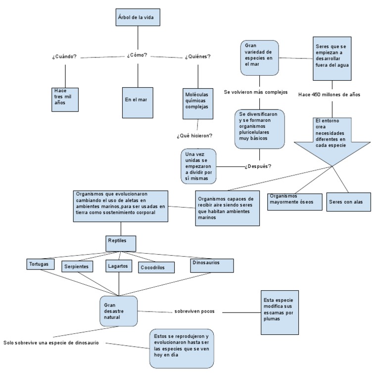 Mapa Conceptual sobre el árbol de la vida | PDF | Dinosaurios | Organismos
