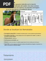 PROTOCOLO EVALUACIÓN FUERZA MUSCULAR - Escala Medical Research Council ...