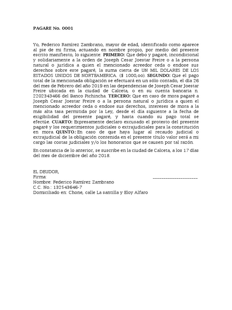 Ejemplo de Pagare A La Orden | PDF | Pagos