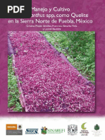 Frutas de Colima | PDF | Vitamina C | Calcio