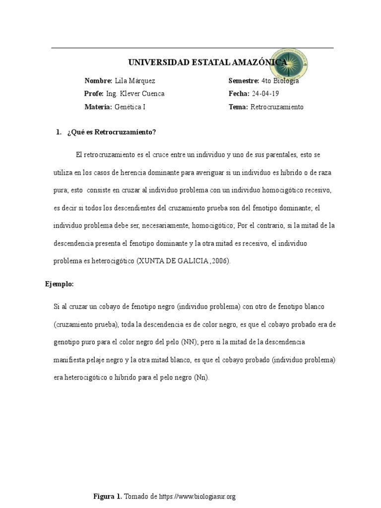 Definición de Retrocruzamiento Genético | PDF