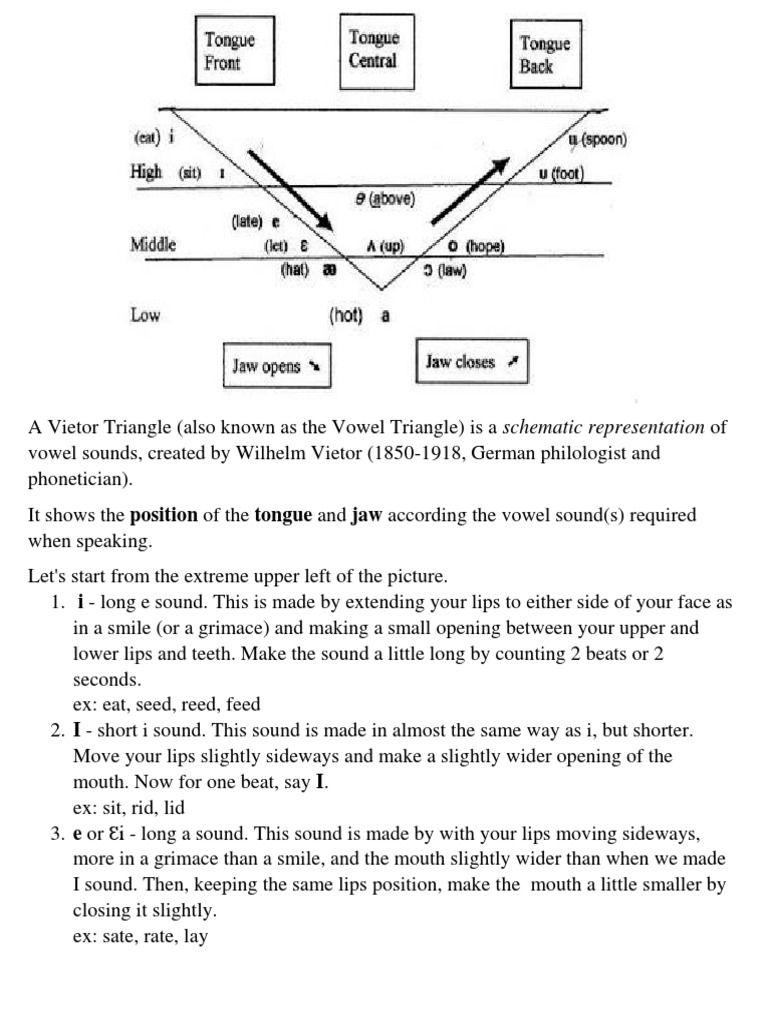 Vietor Triangle Vowel Sounds Explained | PDF | Vowel | Phonetics