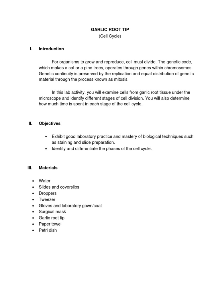 Lab Report - Garlic Root Tip | PDF | Root | Life Sciences