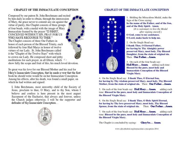 CHAPLET OF THE IMMACULATE CONCEPTION For HDO PDF | PDF | Mary, Mother Of Jesus | Christian ...