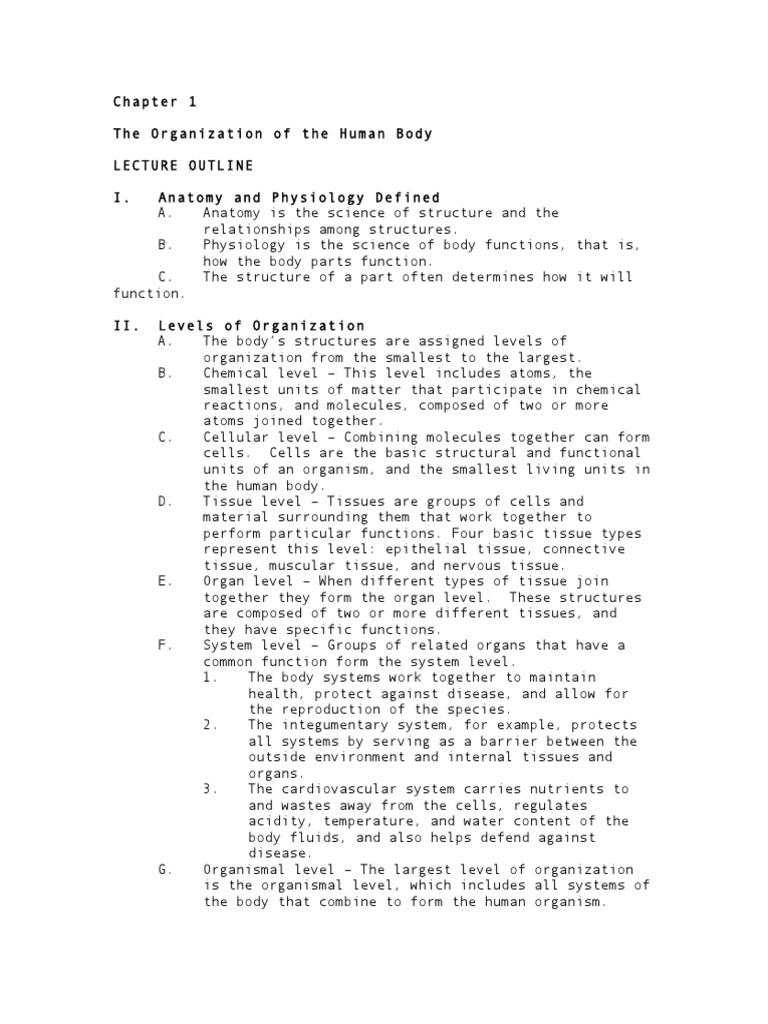 Organization of the Human Body | PDF | Anatomical Terms Of Location ...