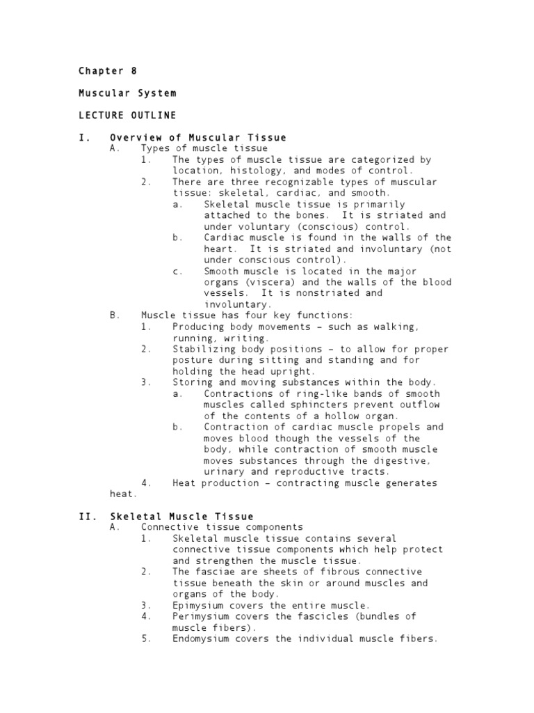 Muscular System (Lecture Outline) PDF | PDF | Muscle Contraction ...