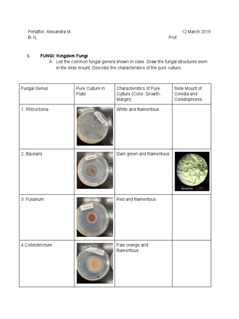Crop Prot | PDF | Plant Pathology | Fungus
