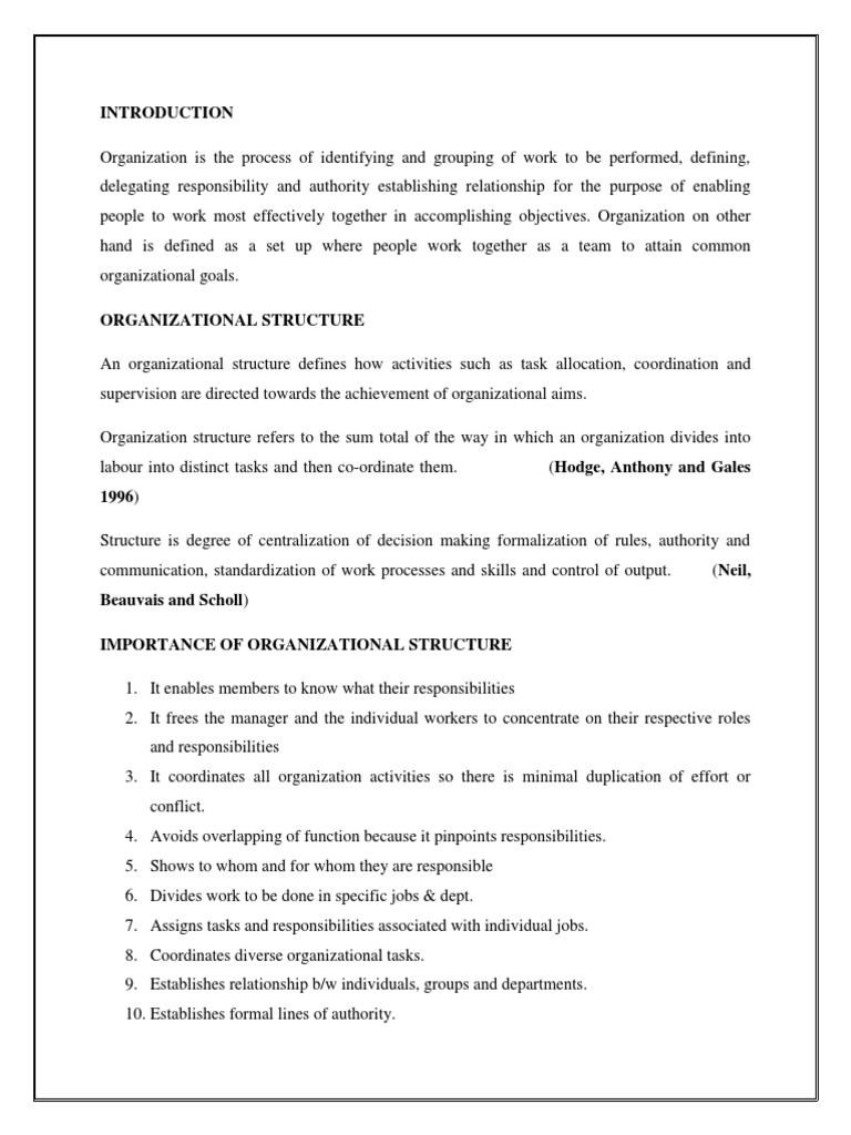 Organization Structure | PDF | Organizational Structure | Hierarchy