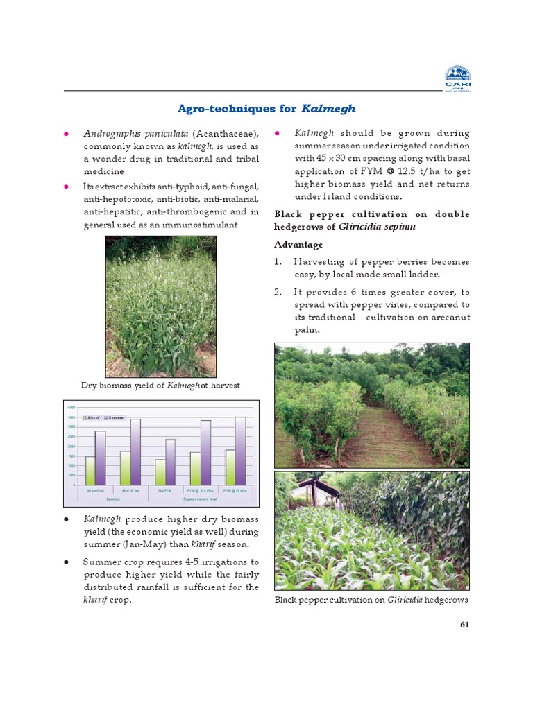 Agro-Techniques For Kalmegh: Andrographis Paniculata (Acanthaceae ...