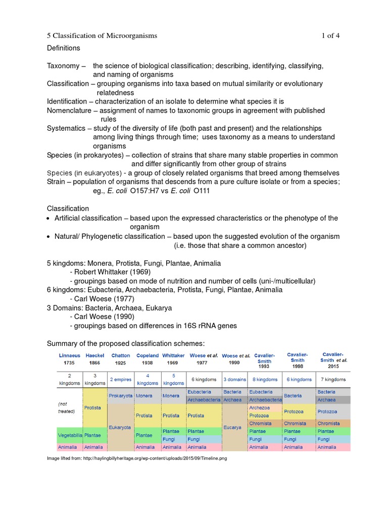 5 Classification of Microorganisms | PDF | Taxonomy (Biology) | Life ...