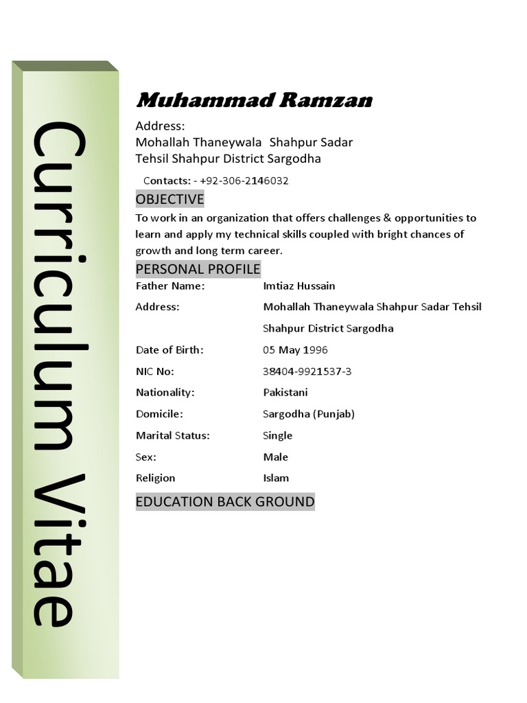 Abid Electration CV | PDF