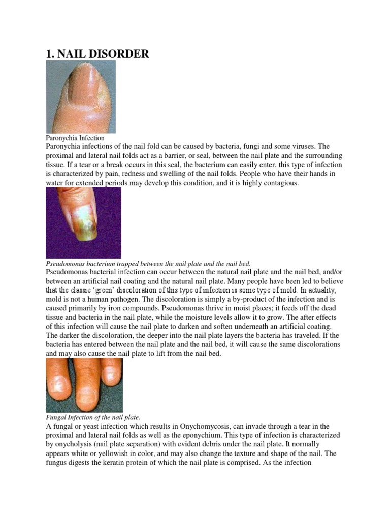 Nail Disorders and Infections Guide | PDF | Nail (Anatomy) | Infection