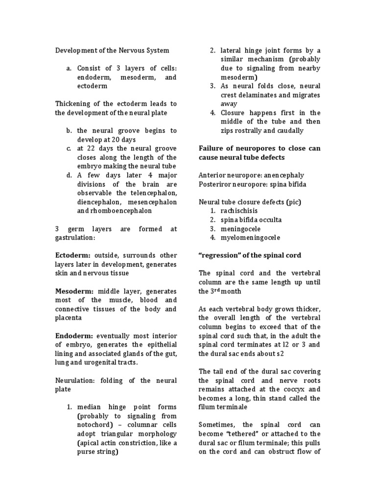 Failure of Neuropores To Close Can Cause Neural Tube Defects | PDF ...