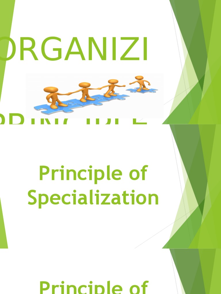 Organizing Principles | PDF