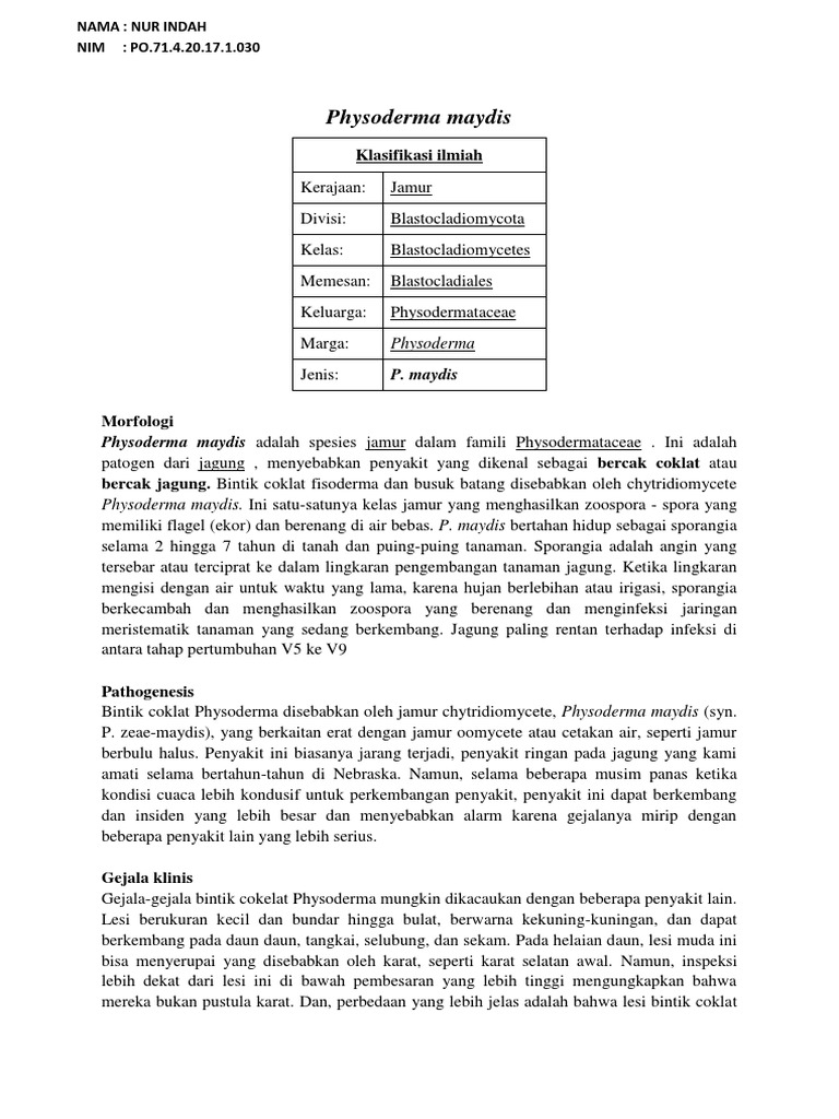 Paper Physoderma Maydis | PDF