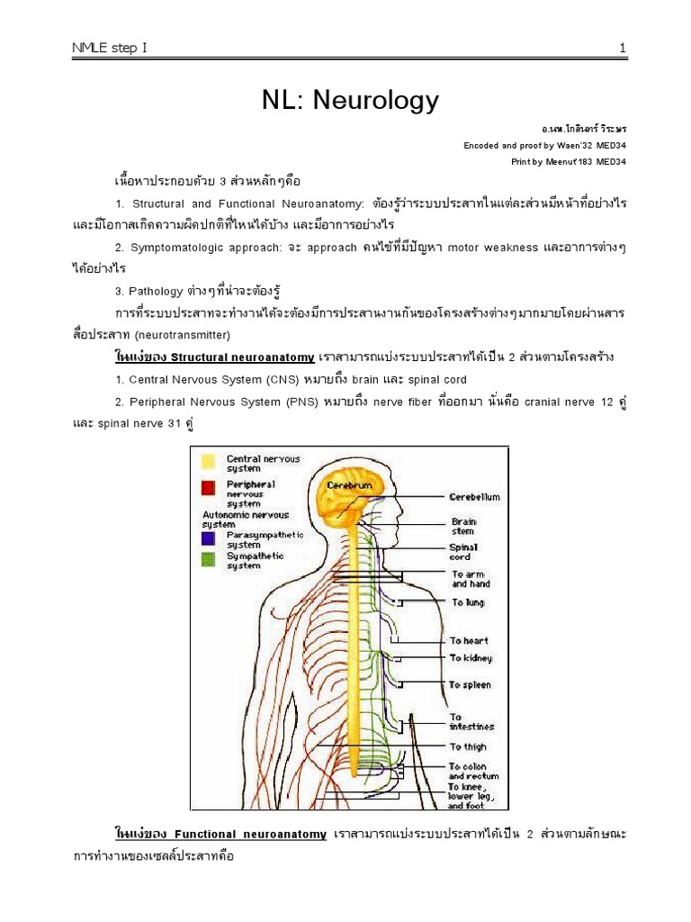 NLME Neuro | PDF