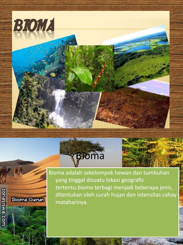 Bioma dan Jenis-jenis Bioma | PDF