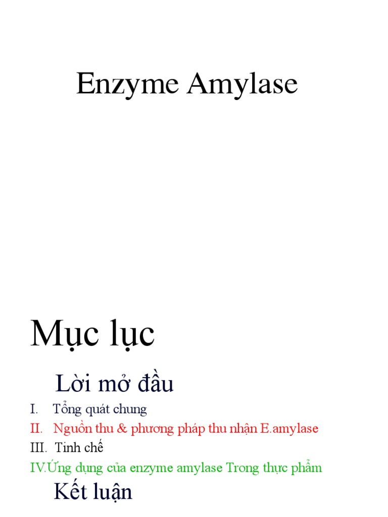 Enzyme Amylase | PDF