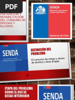 Que Es SENDA | PDF | La dependencia de sustancias | Alcoholismo