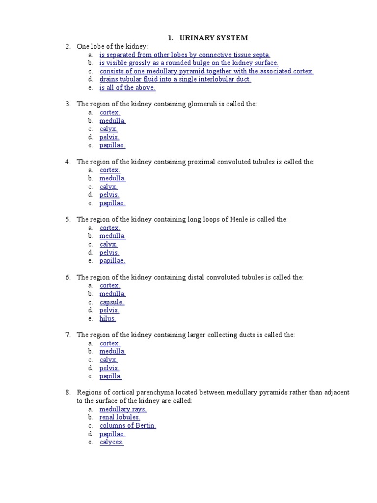 Urinary System MCQ | PDF | Kidney | Epithelium