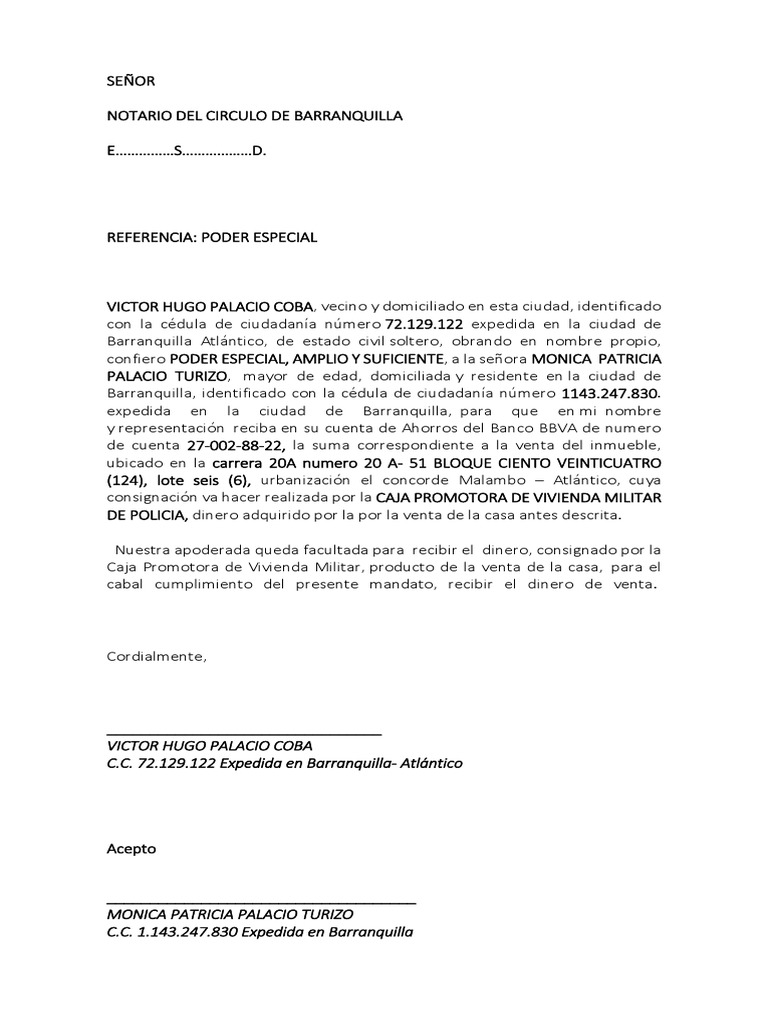 Poder Especial | PDF