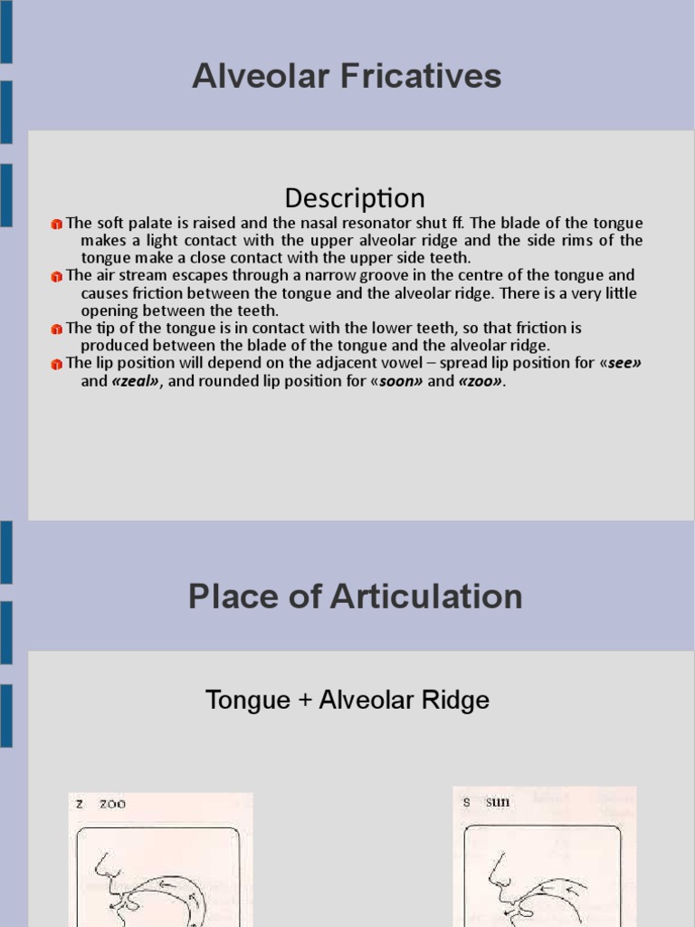 Alveolar Fricative | PDF | Philology | Language Arts & Discipline