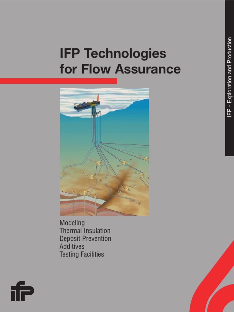 IFP Flow Assurance PDF | PDF | Simulation | Building Insulation