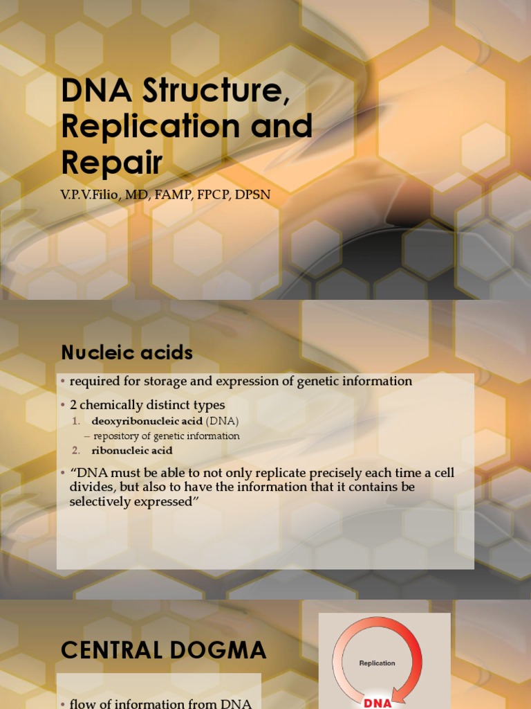 Understanding DNA Structure, Replication, and Repair: A Comprehensive Overview of the Central ...