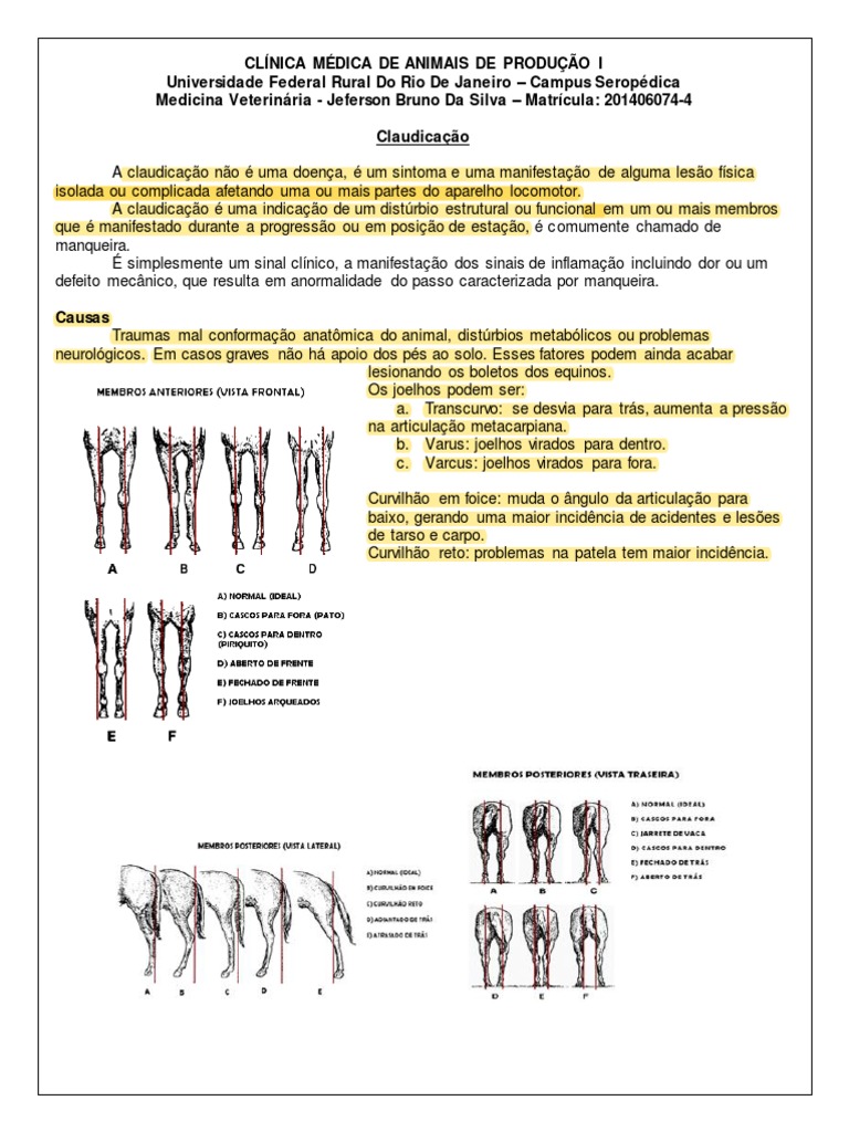 Aula de Claudicação Equina | PDF | Dor | Fósforo
