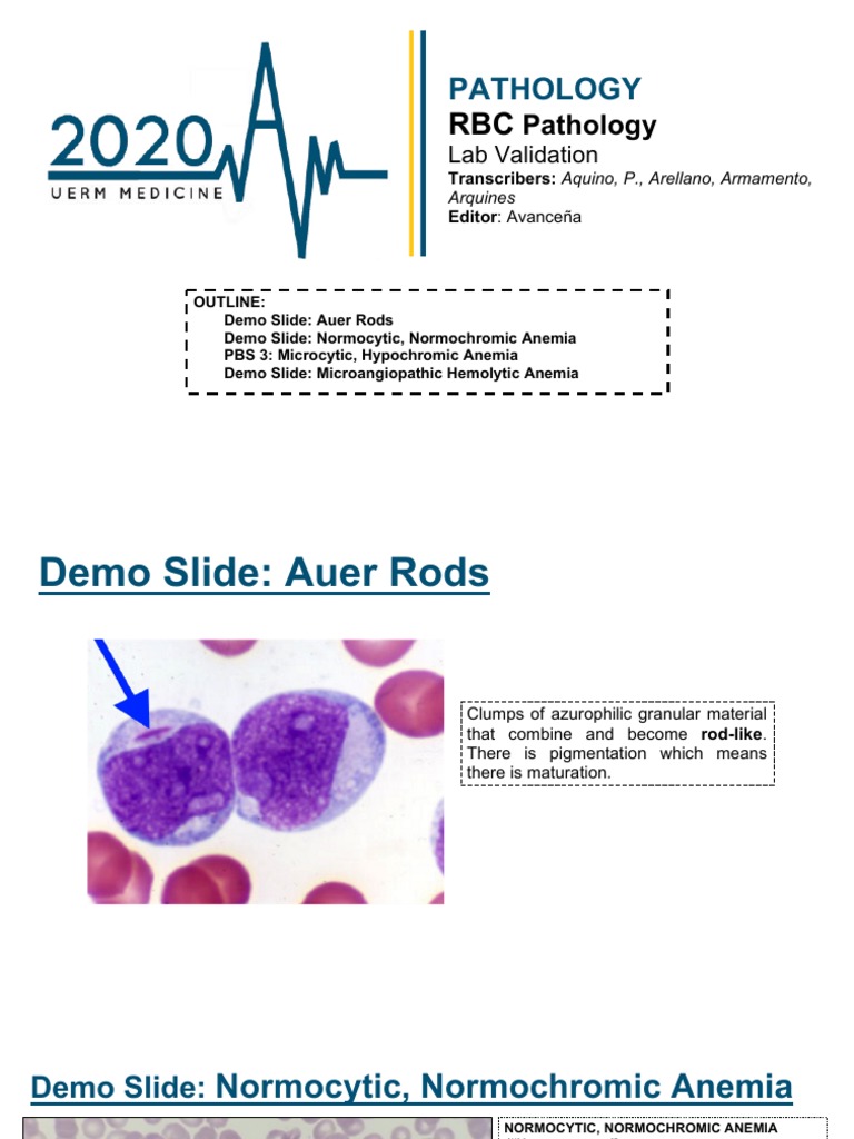 RBC Pathology | PDF | Anemia | Red Blood Cell
