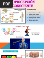 Lobulo de La Insula | PDF | Corteza Insular | Lóbulo temporal