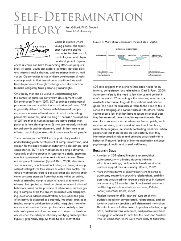 CARE Self Determination | Download Free PDF | Motivation | Motivational
