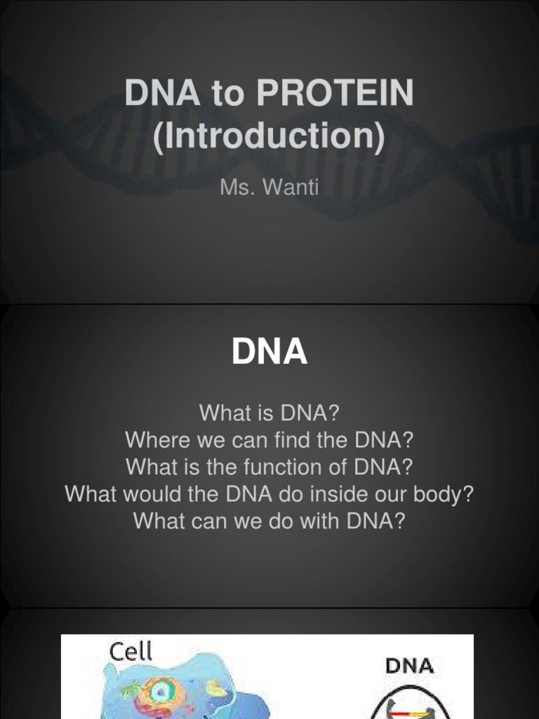 DNA to Protein: Structure & Function Guide | PDF | Computers ...