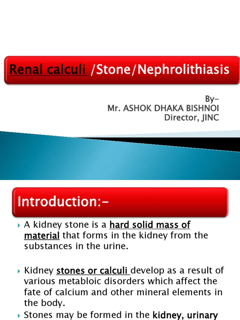 Renal Calculi: /Stone/Nephrolithiasis | PDF | Urology | Clinical Medicine