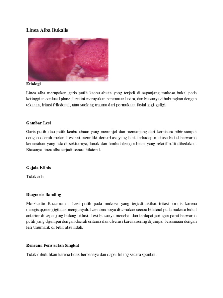 Linea Alba Bukalis | PDF