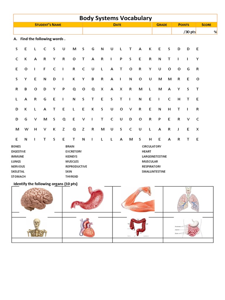 Activity 1 Word Search Levels | PDF