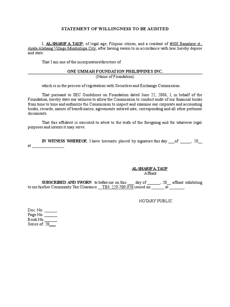 Willingness Statement for Audit | PDF