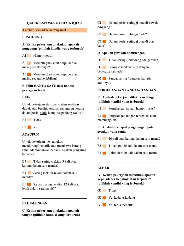 Lembar Pemeriksaan QEC untuk Ergonomi | PDF