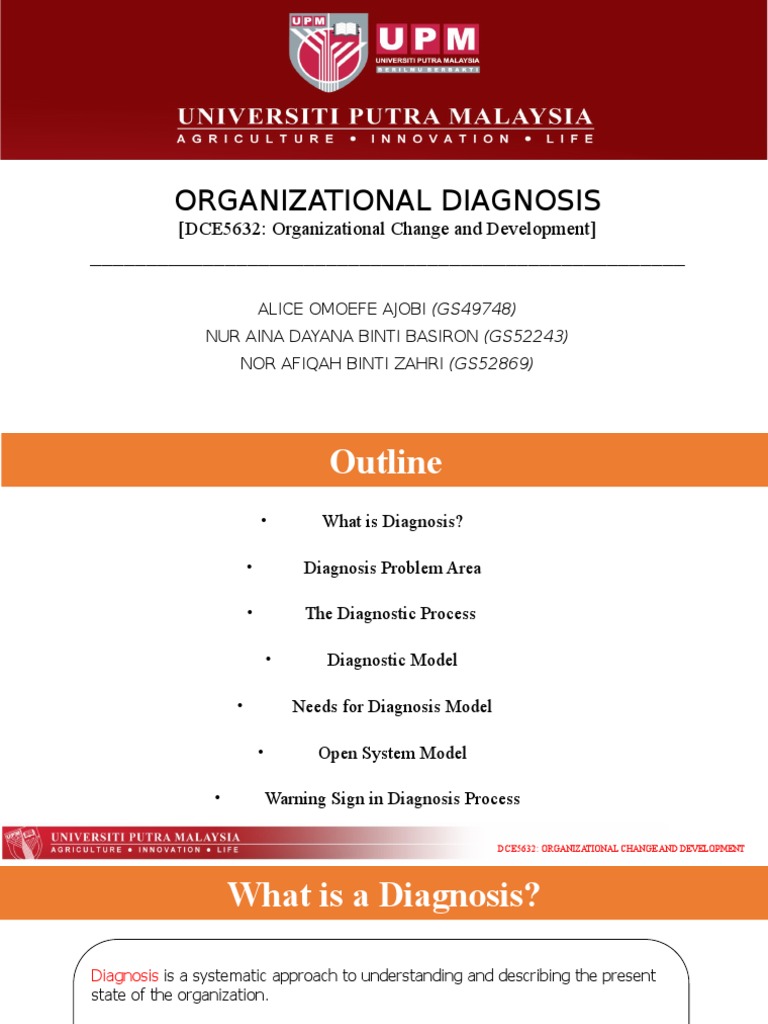 Organizational Diagnosis Process Overview | PDF | Organization ...