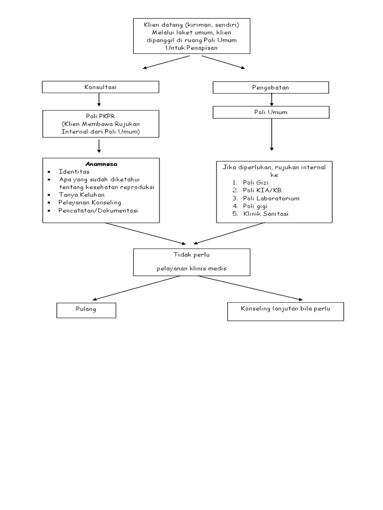 Alur Pelaksanaan PKPR | PDF