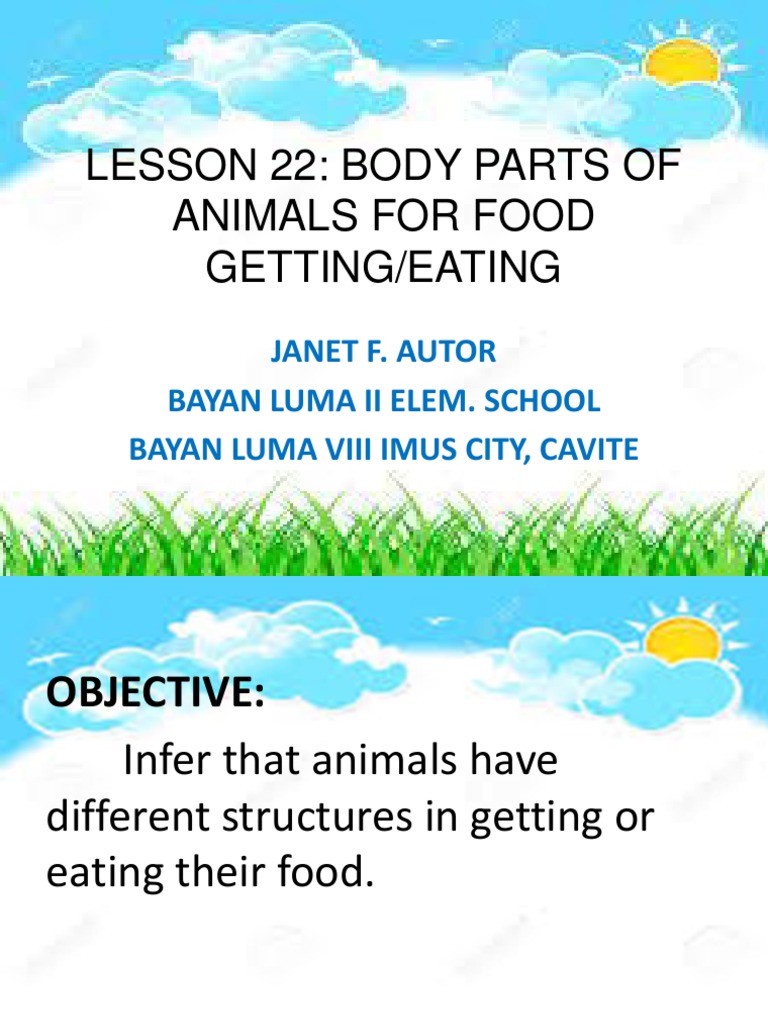 Lesson 22-Body Parts of Animals For Getting Foodeating | PDF | Foreign ...
