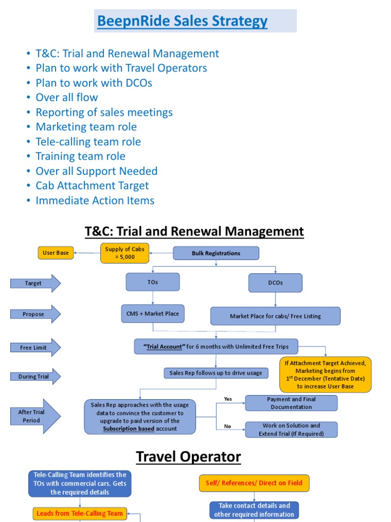 Sales Team | PDF | Sales | Marketing
