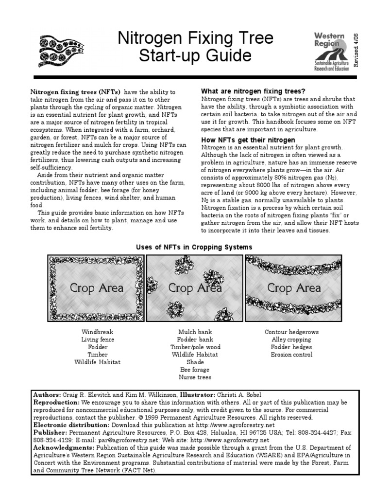 Nitrogen Fixing Tree Start-Up Guide | PDF | Soil Fertility | Soil