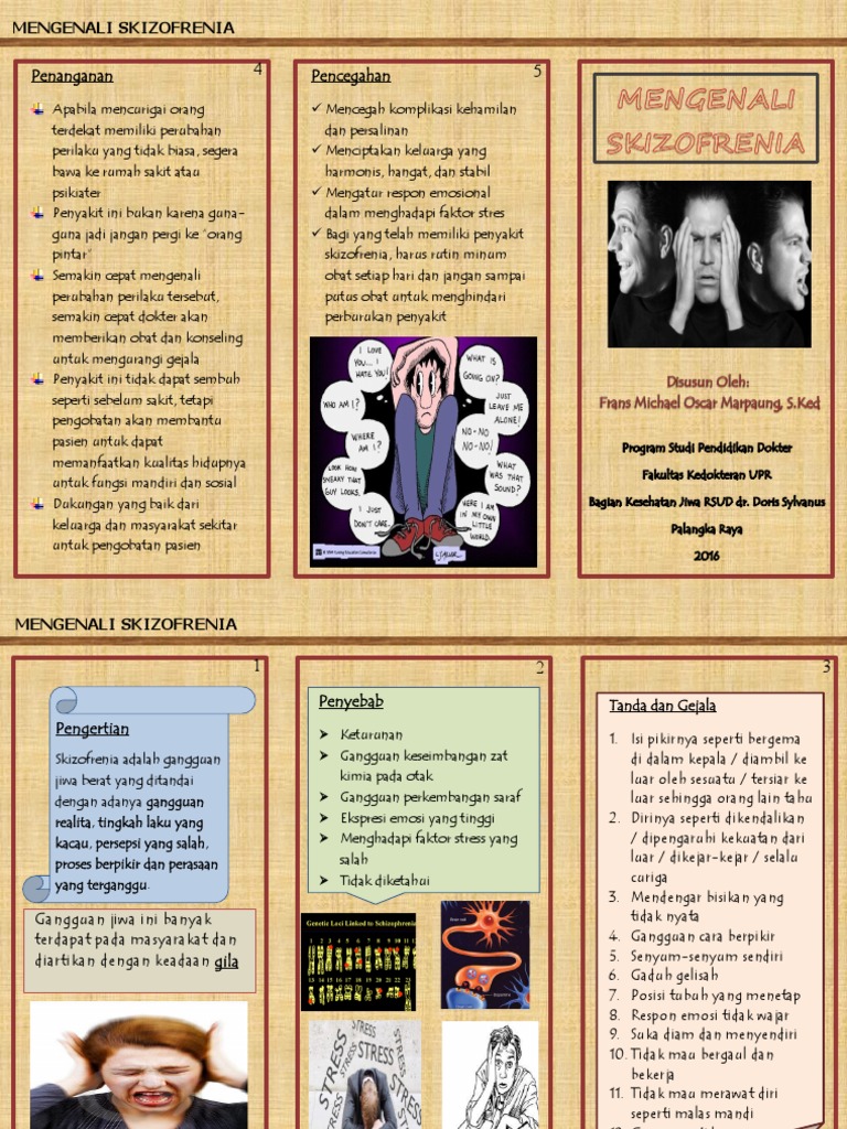 Leaflet Skizofrenia | PDF