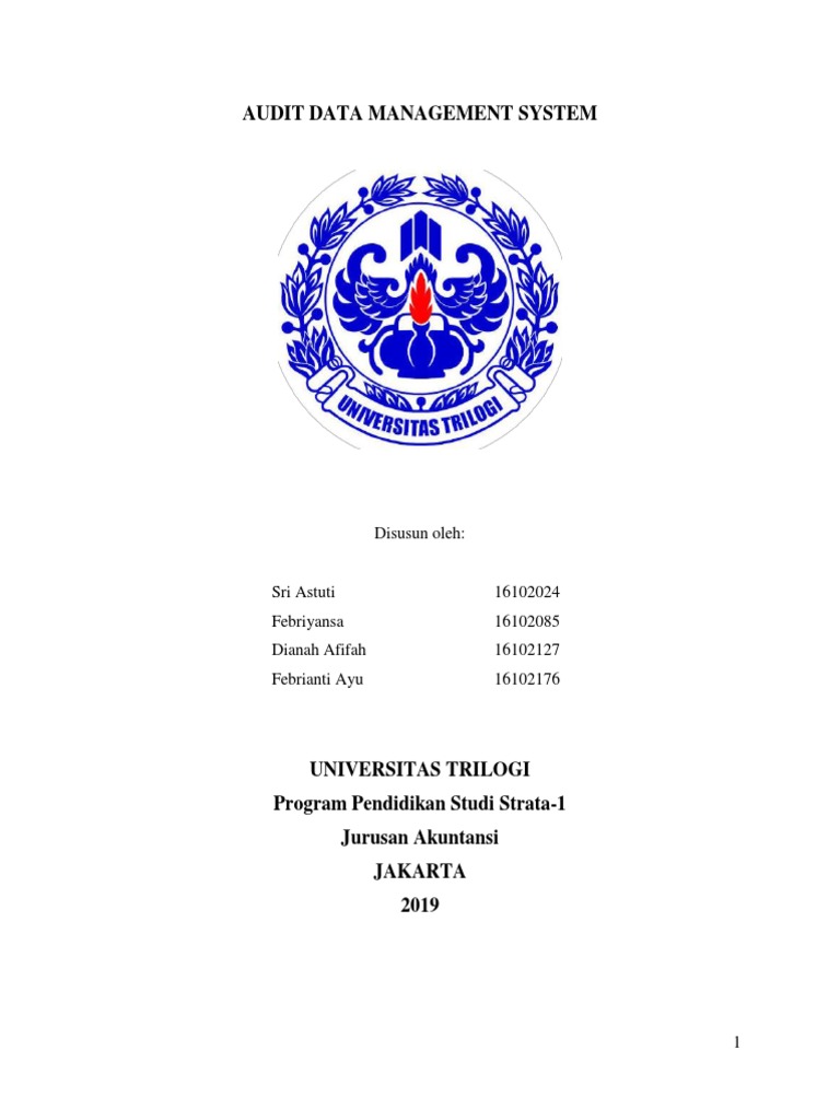 Audit Data Management System | PDF