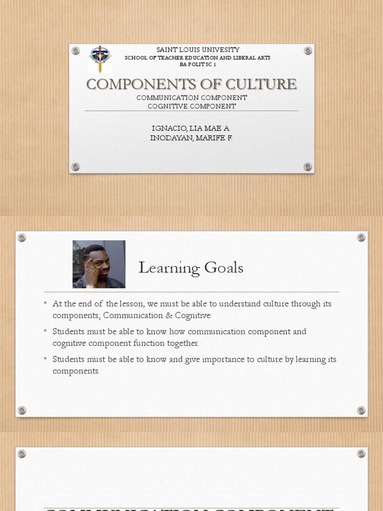 Components of Culture | PDF