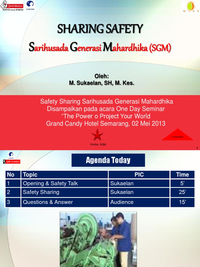 Sharing Safety SGM (3m SMG) | PDF | Business Process | International ...