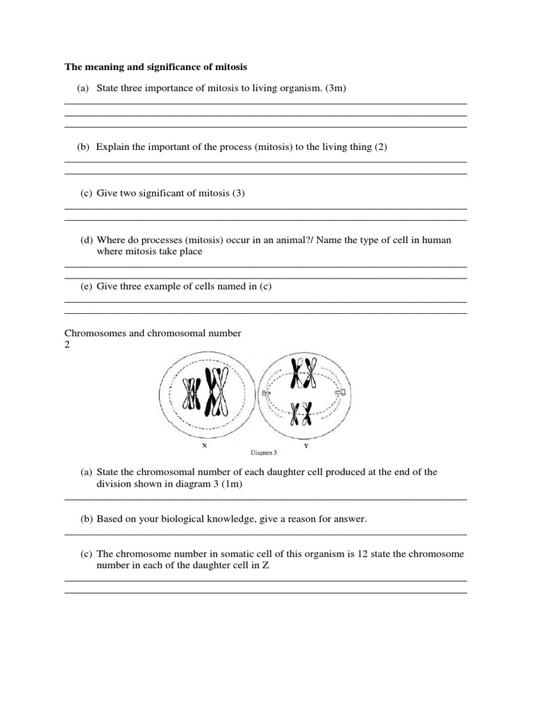 Chapter 5 Cell Division - Practice - State Trial | PDF | Mitosis | Ploidy