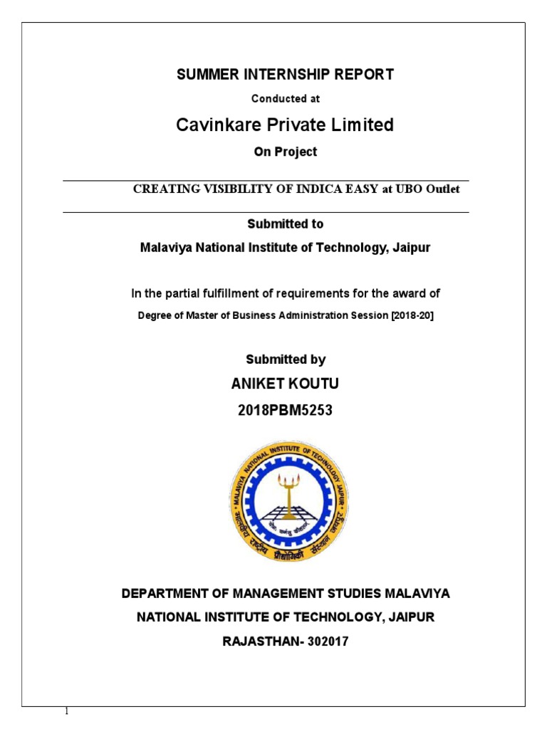 Summer Internship Project Report | PDF | Retail | Brand